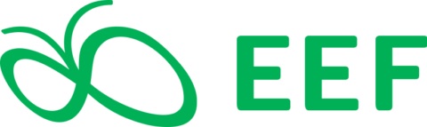 EEF Granting | Opendream